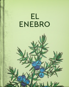 El Libro Total. El enebro. Los Hermanos Grimm