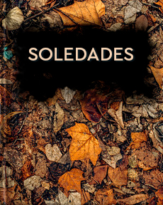 El Libro Total. Soledades. Luis de Góngora y Argote