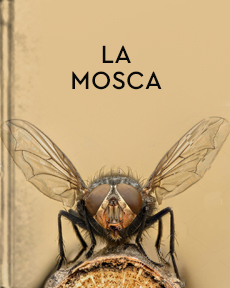 El Libro Total. La mosca. Pedro Escamilla